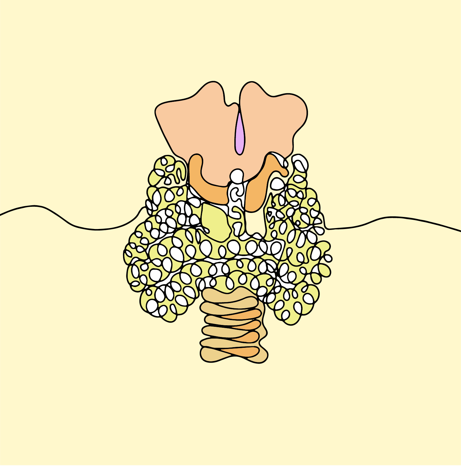 Thyroid Health & Thyroid Disorder Courses | Back to Balance