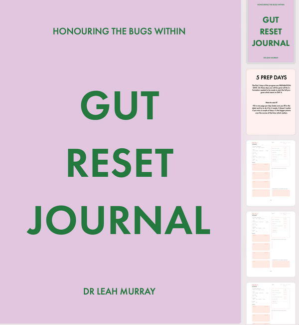 Gut Reset Journal eBook‚ Track Your Gut Health Journey – Back to Balance